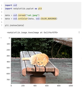 JupyterにOpenCVの画像表示 シチュエーションによって使い分けよう